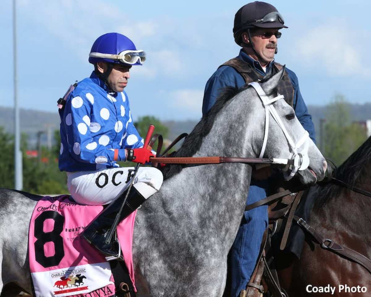 West Virginia Wonder Runnin'toluvya Goes For 11th Straight In Iselin At ...