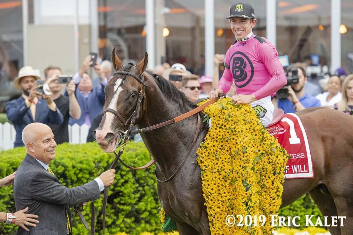 Stringhalt: War Of Will's Post-Preakness Motion Isn't Lameness ...