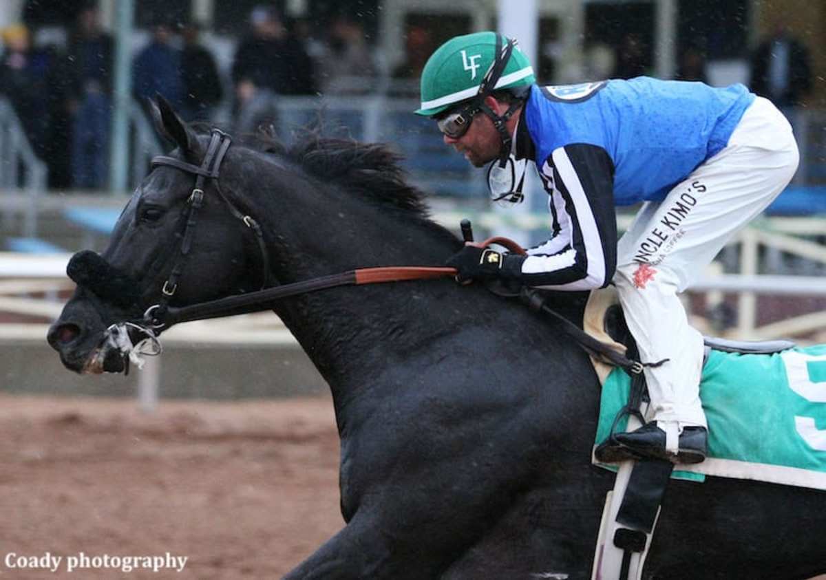 Texas-Bred Mr Money Bags Among Land Of Enchantment Day Stars At Zia ...