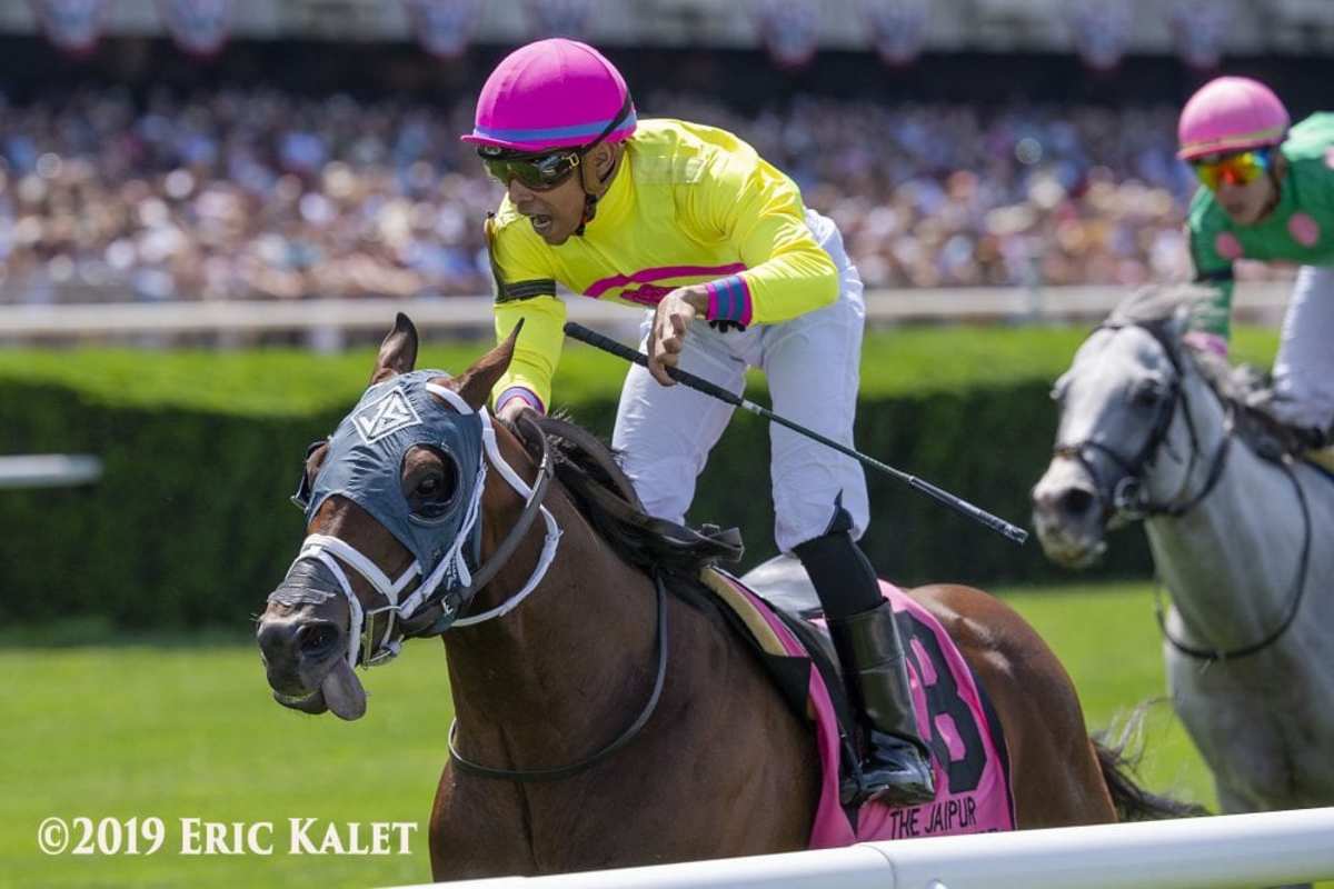 World Of Trouble Retired To Hill 'N' Dale Farms For 2020 Breeding ...