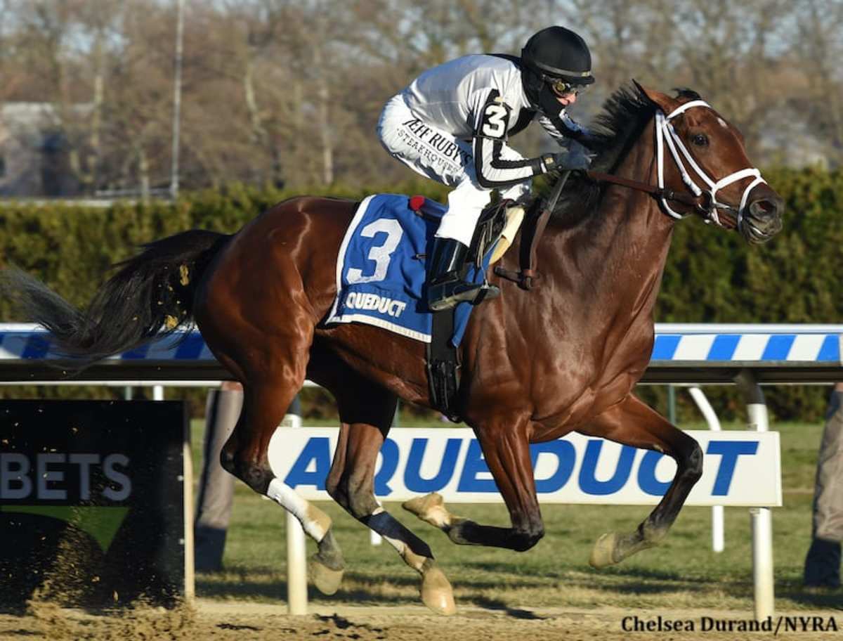Bernardini Filly Bellera Registers First Stakes Victory In Comely At ...