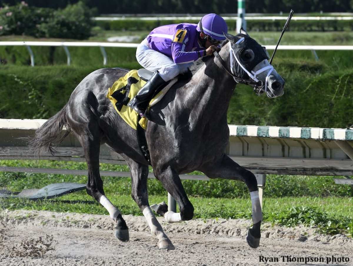 California Chrome's Half Brother Fort McHenry Tries Stakes Company At ...