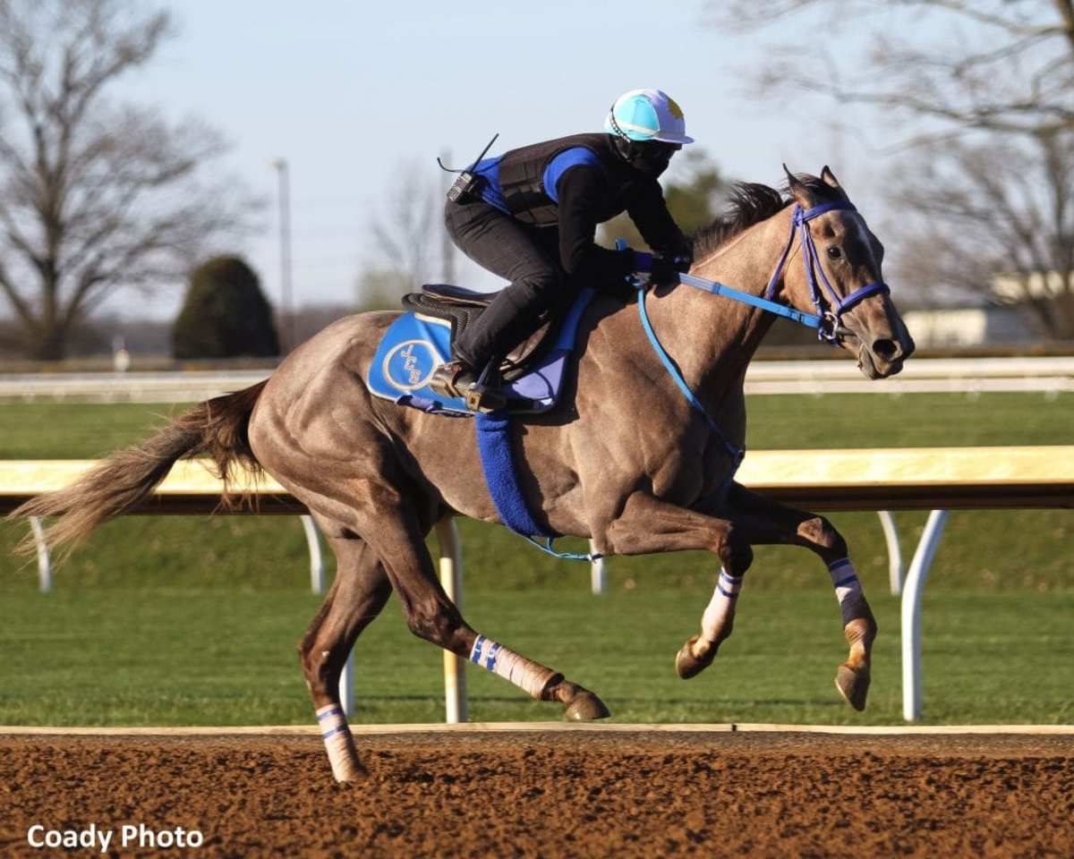 New Training Style, Blinkers Have Champion Jaywalk Back On Track For ...