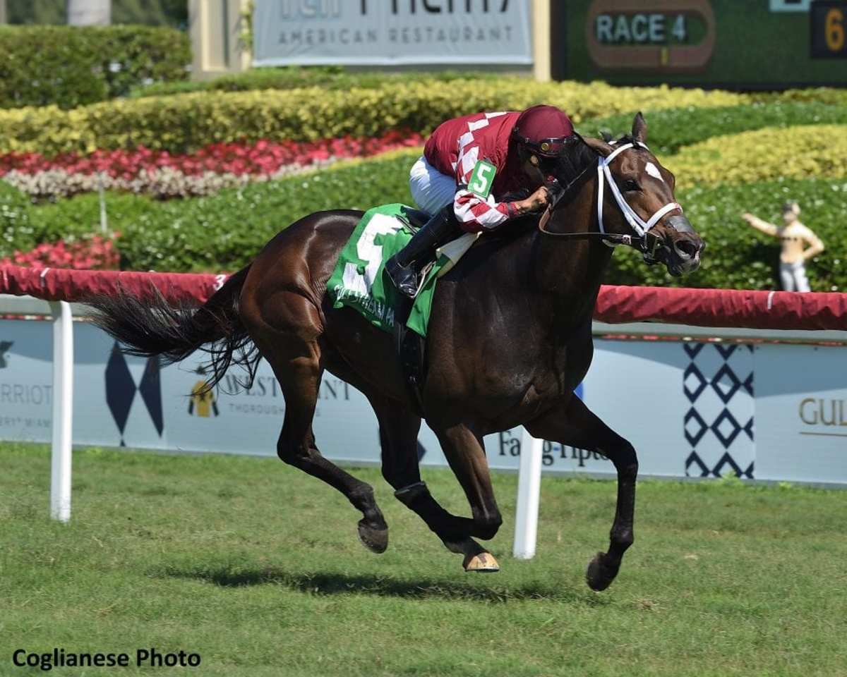 Quality Runs Deep In Penn Mile Field; A Thread Of Blue Favored ...