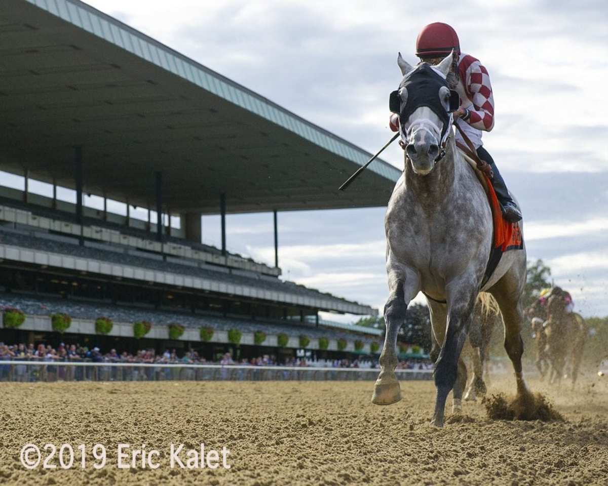 Marconi Goes The Distance In Grand Prix American Jockey Club - Paulick ...
