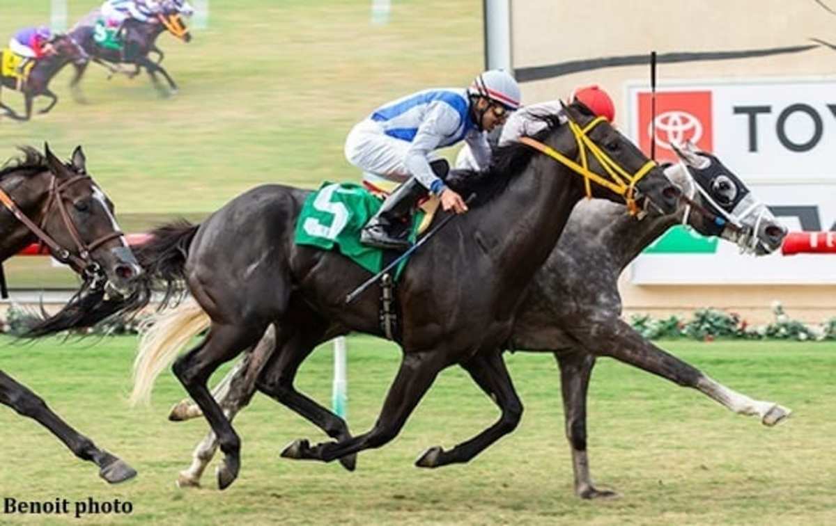 Disqualification In Final Race Pays $373,586 To Lone Del Mar Bettor ...