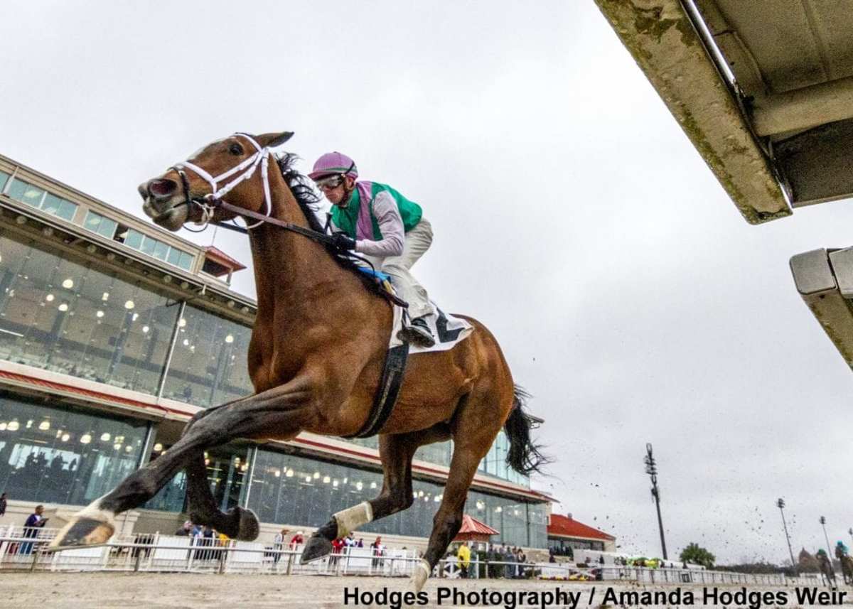 Two-For-Two Taraz Seeks Kentucky Oaks Points In Martha Washington ...