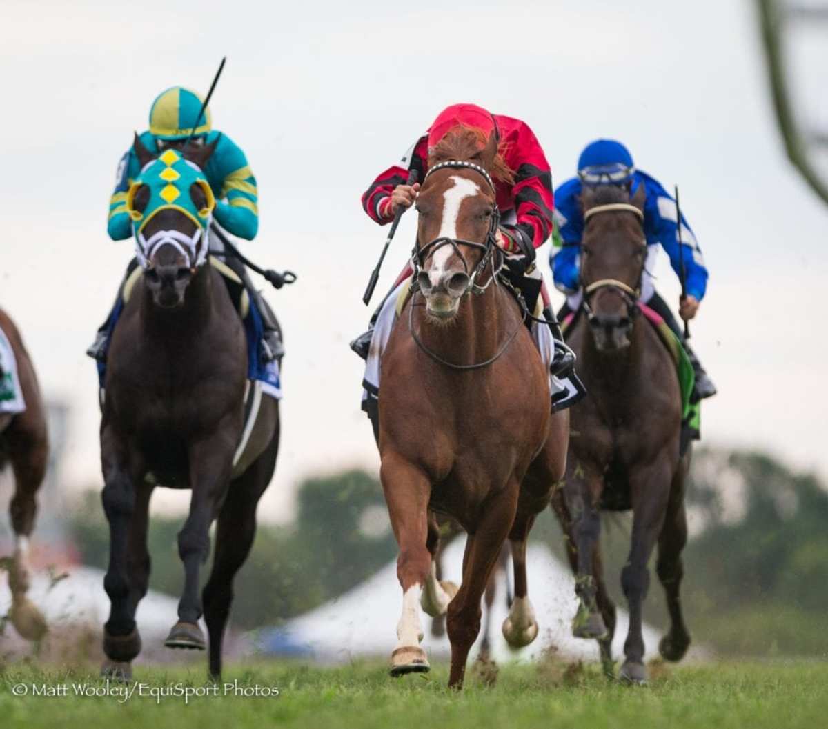 Kentucky Downs Offers $1 Million Bonus For Three-Race Sweep Culminating ...