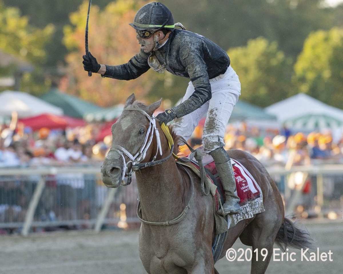 Sans Saudi Cup Invite, Millionaire Math Wizard Will Target Oaklawn's Razorback - Paulick Report ...