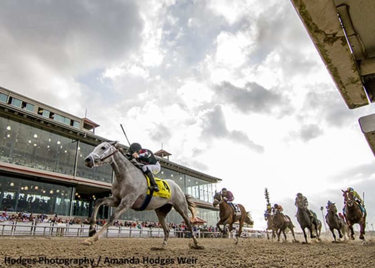 Churchill, Fair Grounds Team Up For Fleur De Lis Pick 4 - Paulick ...