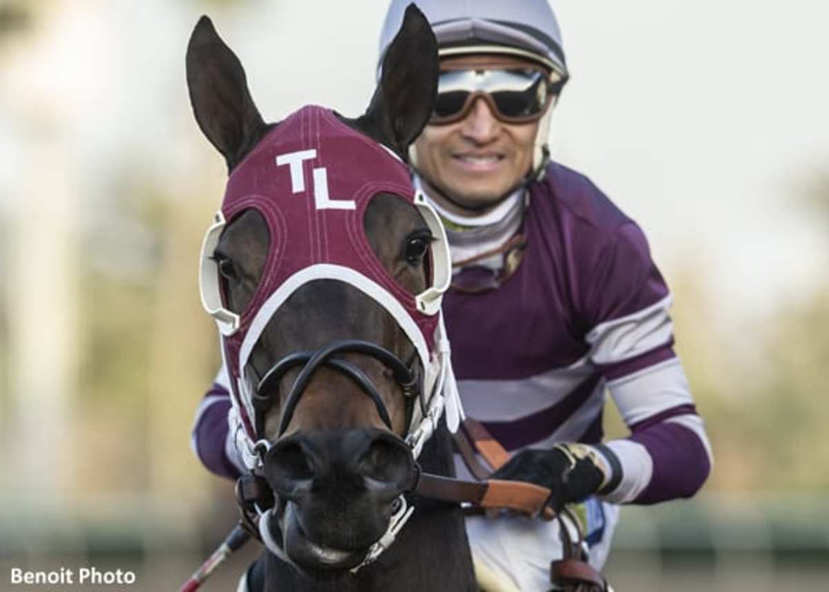 Show It N Moe It Re-Rallies For Spring Fever Victory - Paulick Report ...