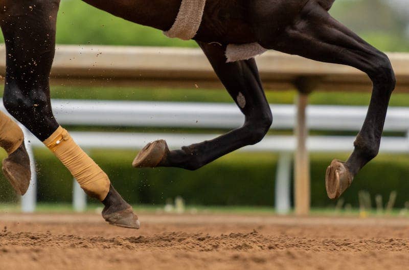 A Different Era: Training Pattern for Triple Crown Winner Assault ...