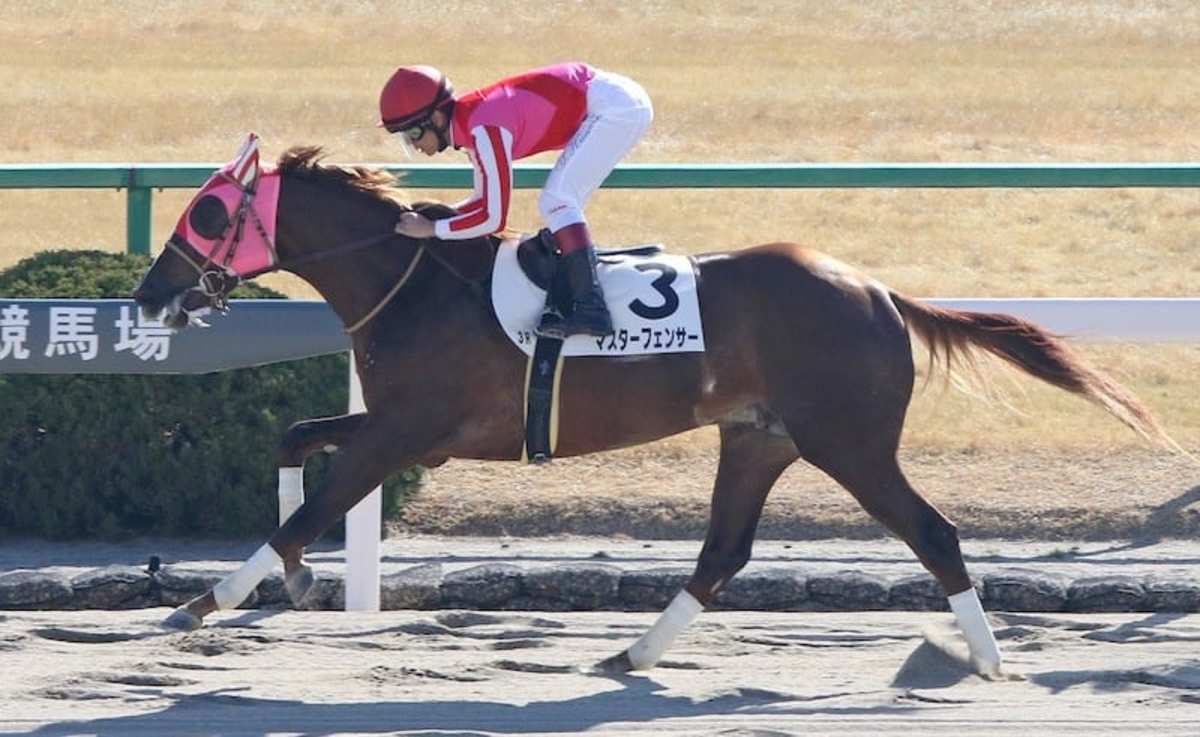 Japan-Based Master Fencer To Accept Kentucky Derby Invitation - Paulick ...