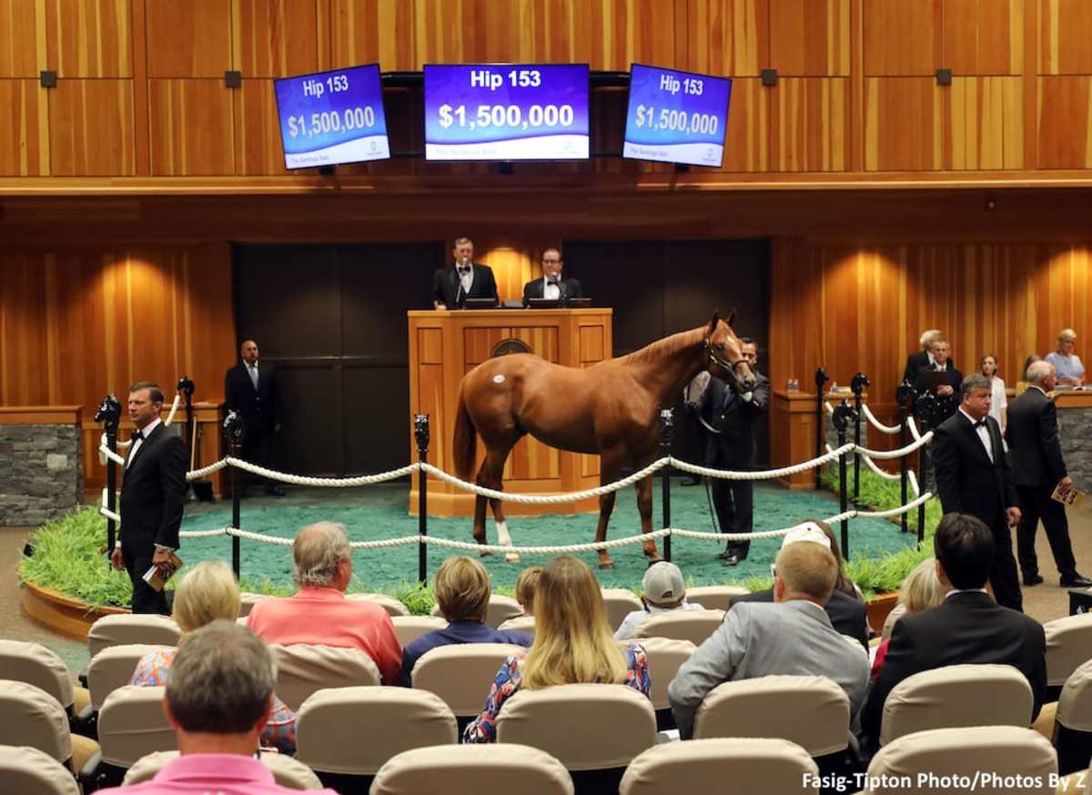 Showcase Night For Curlin, Denali Stud Propels Record-Setting Fasig ...