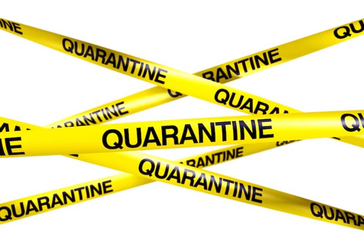 The Pennsylvania EHV Outbreak That Wasn’t - Paulick Report | Latest ...