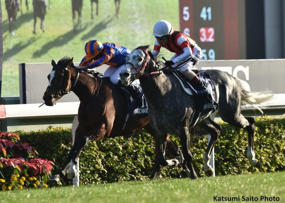Hong Kong Cup: Japan's Win Bright Eyes History With One Last Run For ...
