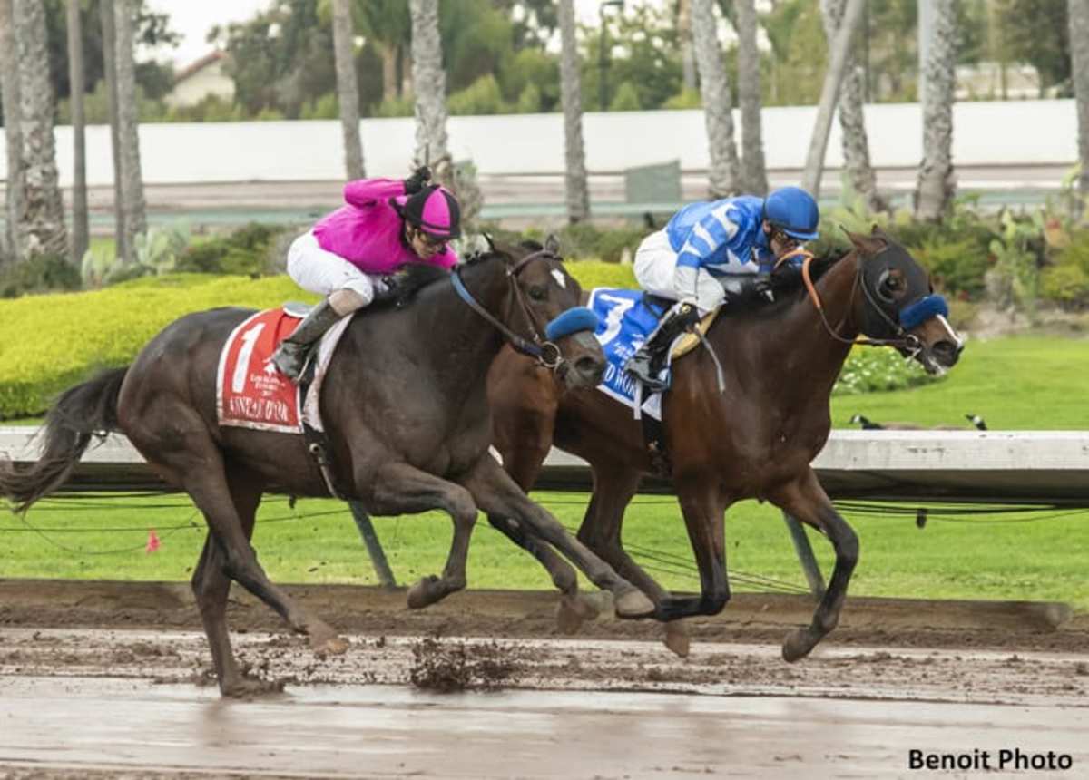 Thousand Words Leads Baffert's 1-2 Punch In Robert B. Lewis - Paulick ...