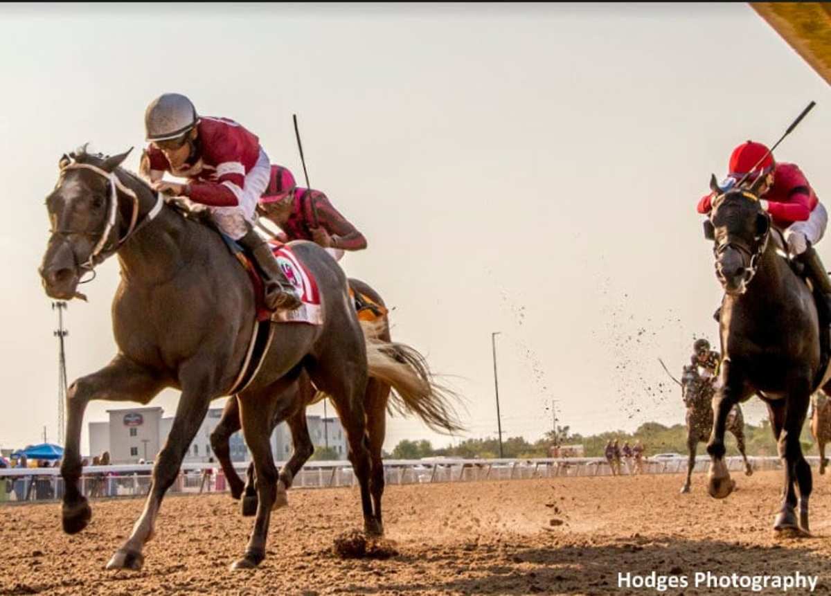 Rotation, Full Brother To Tapiture, Scores In Super Derby - Paulick ...