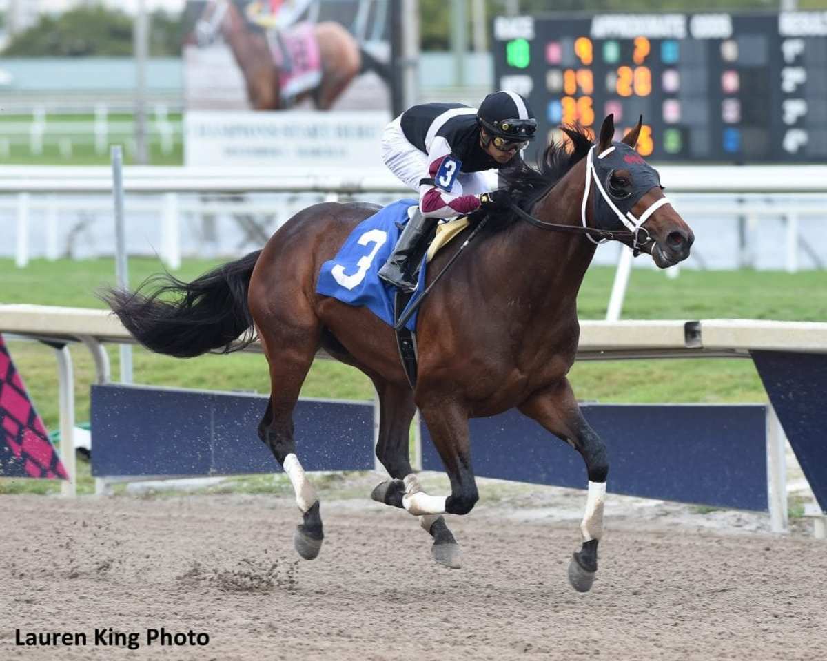 Grabbed Quarter Takes Global Campaign Out Of Derby Consideration ...