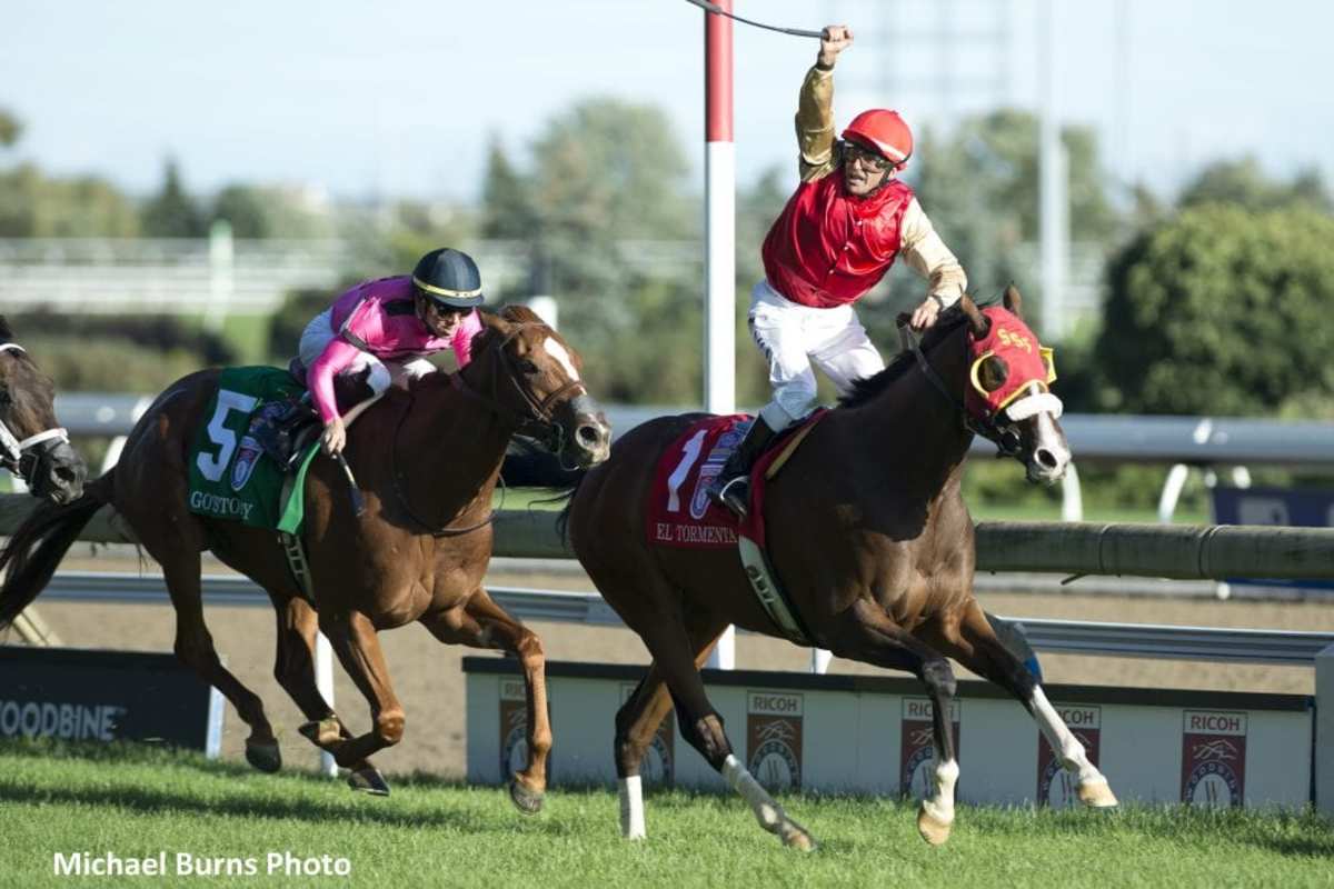 44-1 Longshot El Tormenta Out-Finishes Got Stormy In Woodbine Mile ...