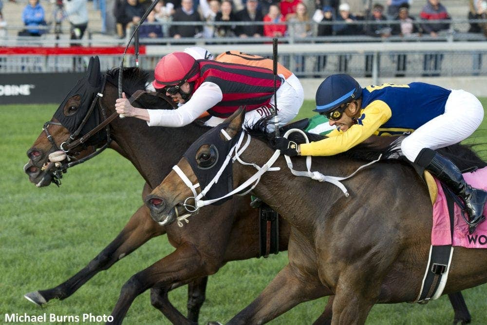 City Boy Steps Up At 24-1 In Nearctic Stakes - Paulick Report | Latest ...