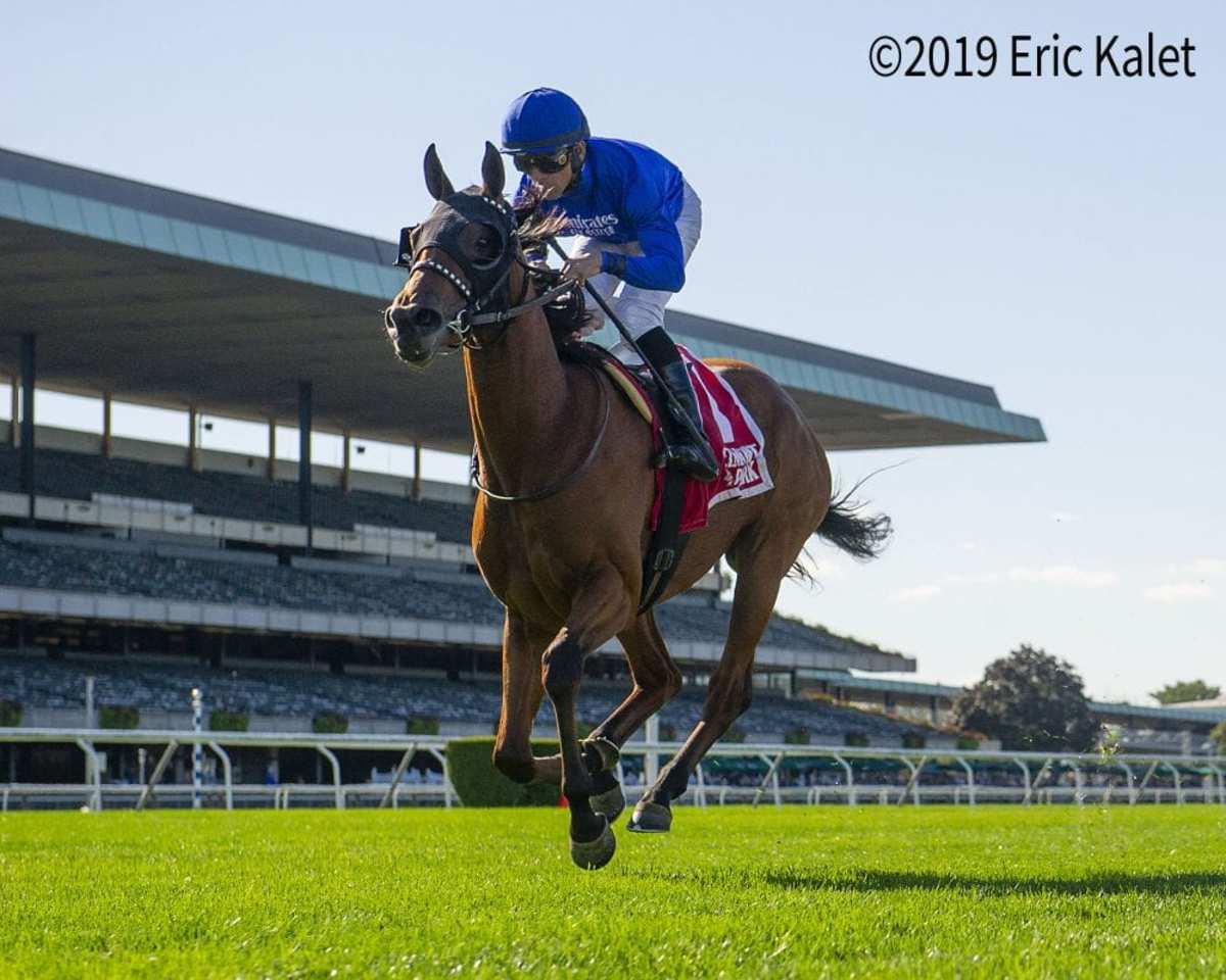 Alms Grinds Out Matron Victory - Paulick Report | Latest news and ...