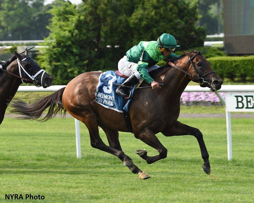 Demarchelier Stays Undefeated In Pennine Ridge - Paulick Report ...