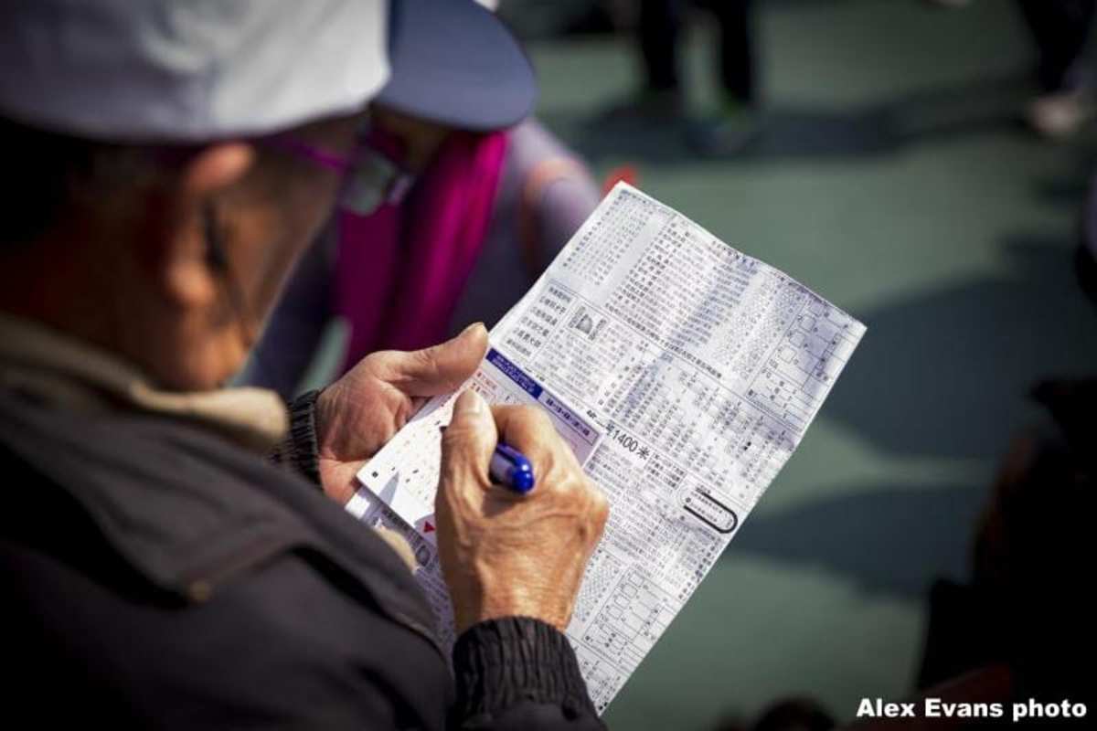 INQUIRY Presented By Iowa Thoroughbred Breeders And Owners Association ...