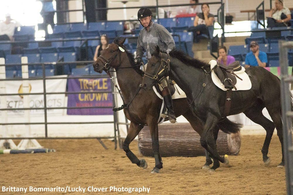 Makeover Master Class: Three Experienced Re-Trainers, Three Off-Track ...