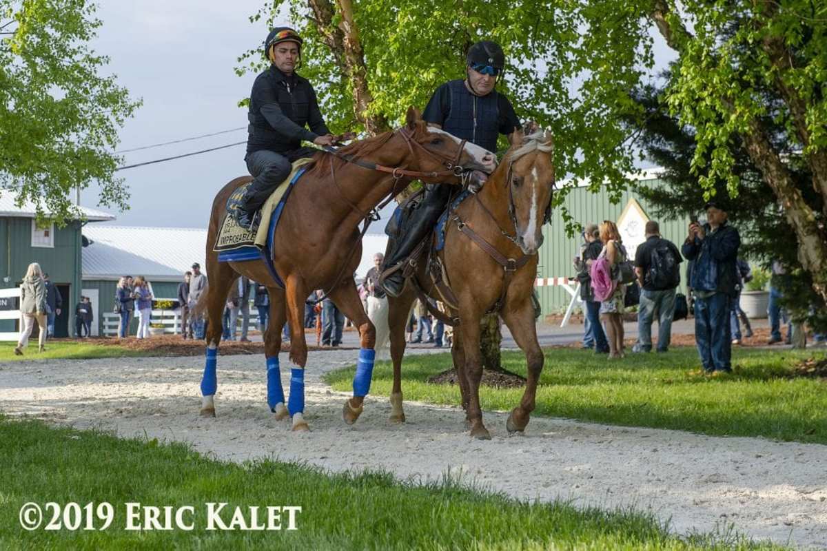 Preakness Notes, May 16: Favored Improbable Full Of Energy Thursday ...