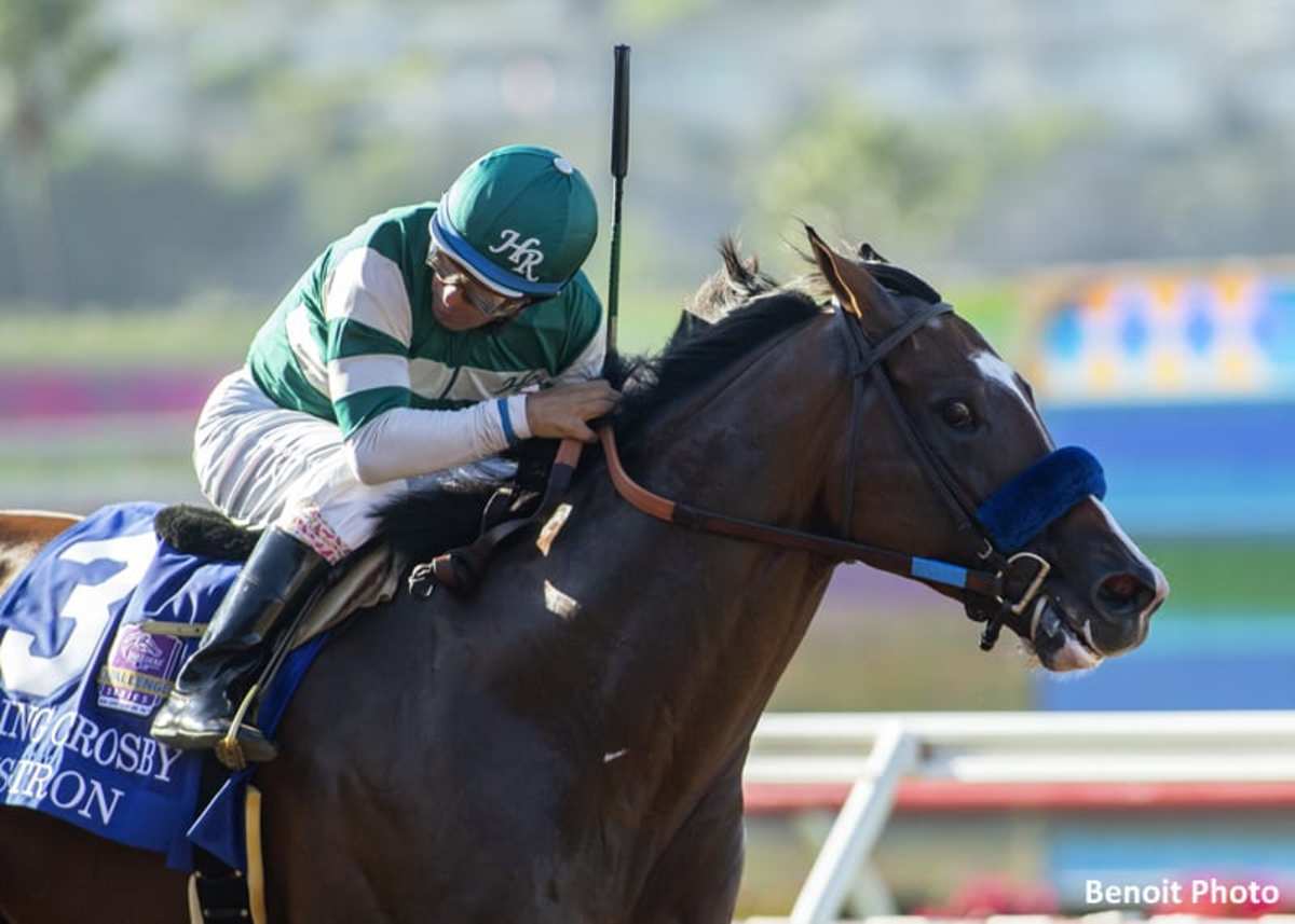Grade 1 Winner, California Stallion Cistron Dies Of Colic At Age 10 ...