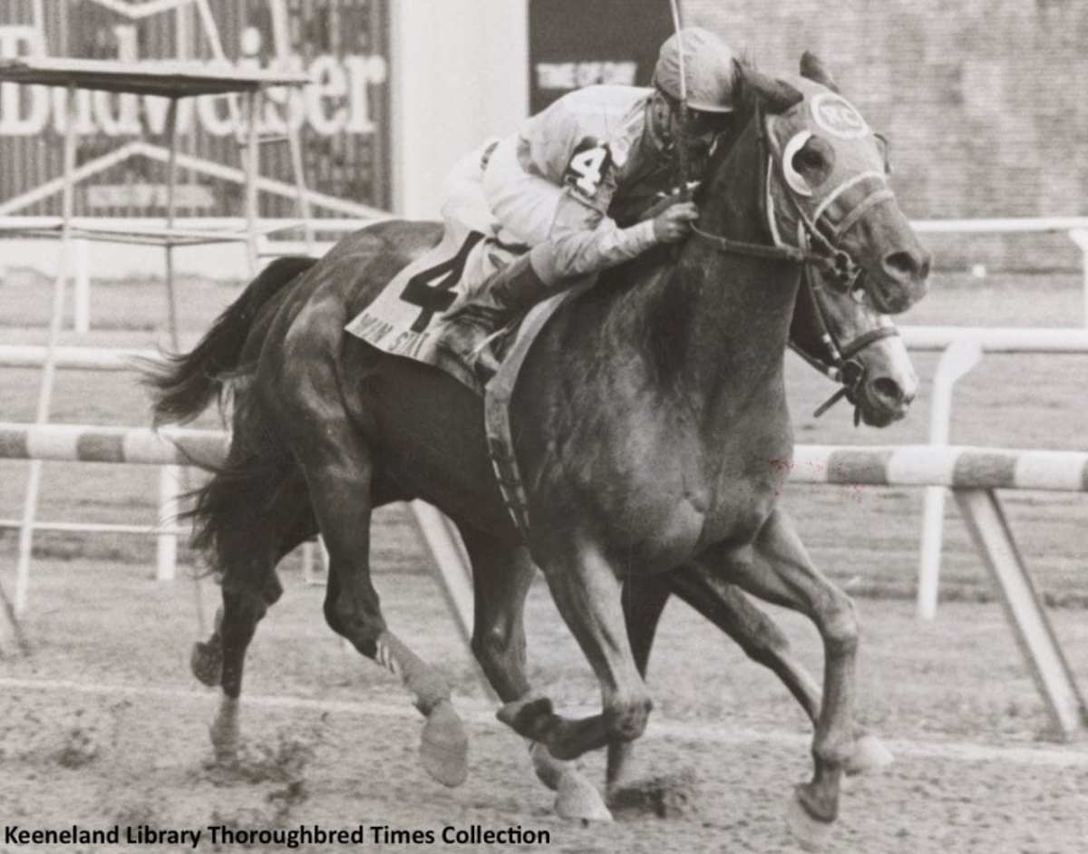 How The Voided Claim Of A South Dakota-Bred Saved A World Record ...