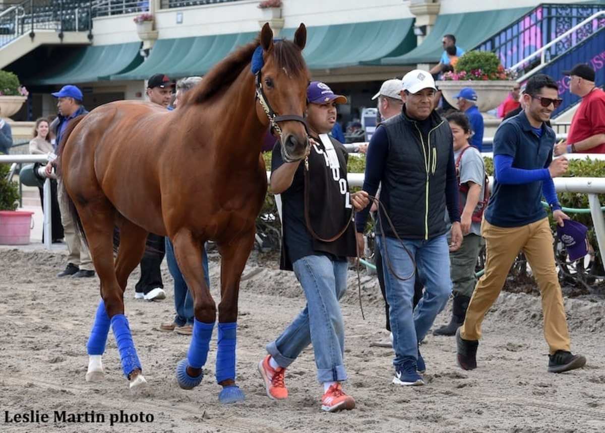 Accelerate 'Picture Of Health' During Schooling Session For Pegasus ...