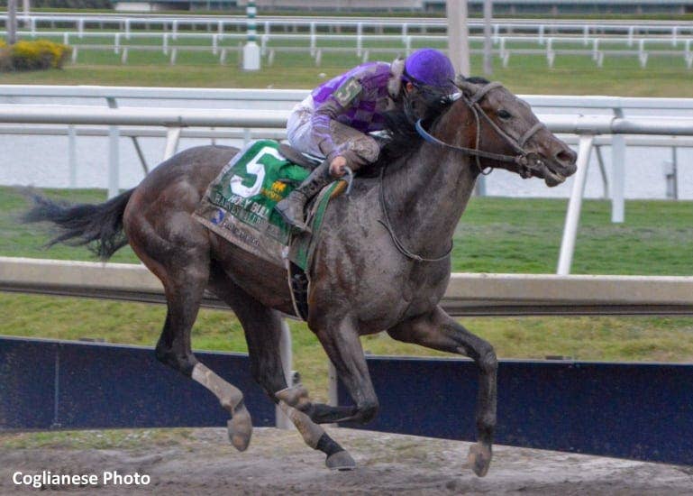 Harvey Wallbanger Up The Inside For 25-1 Upset In Holy Bull - Paulick ...