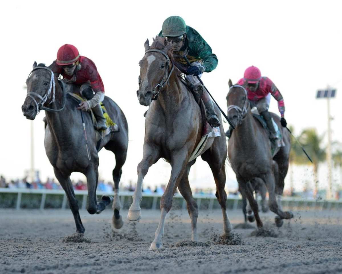 Twinspires Launches Initiative To Reward Smart Bets, Will Pay Out On ...