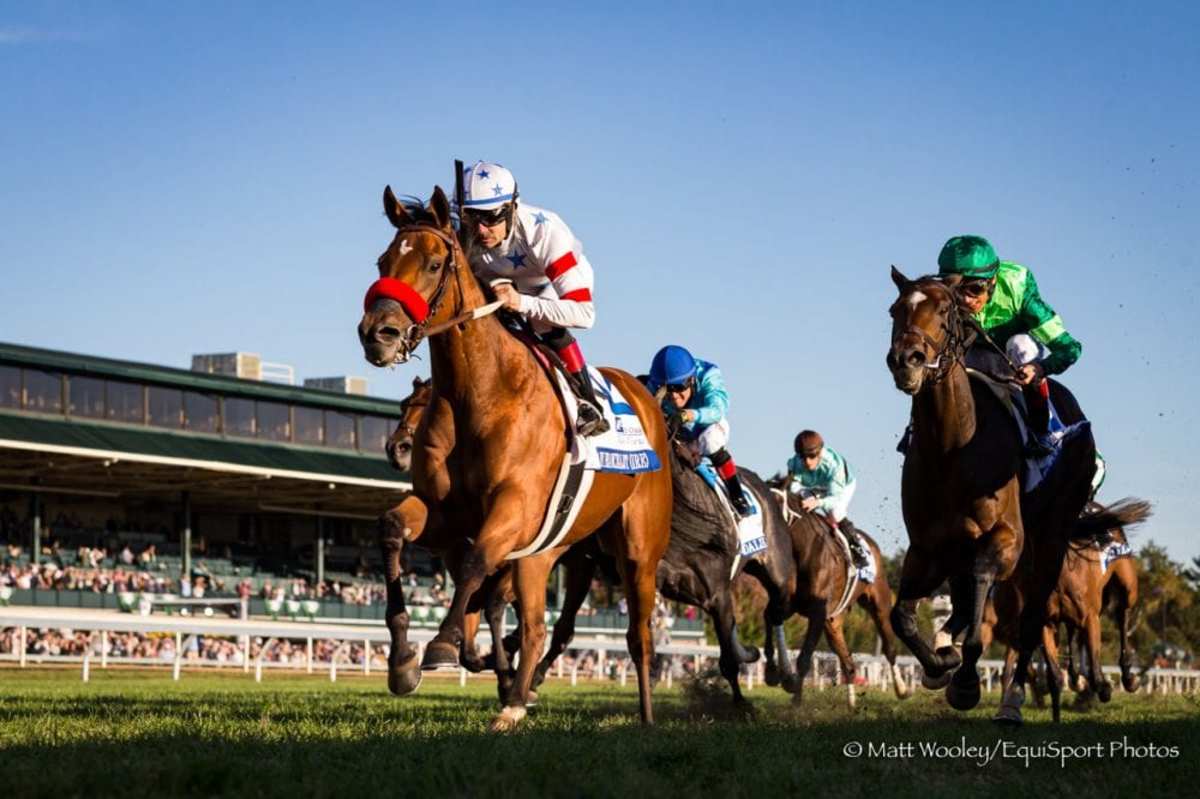 Lady Prancealot Takes On Distance Challenge In American Oaks - Paulick ...