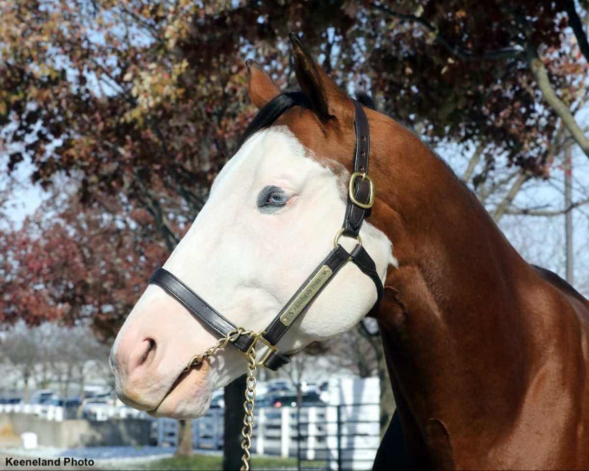 Caldwell Excited To Get Southern Phantom Started Running Again ...