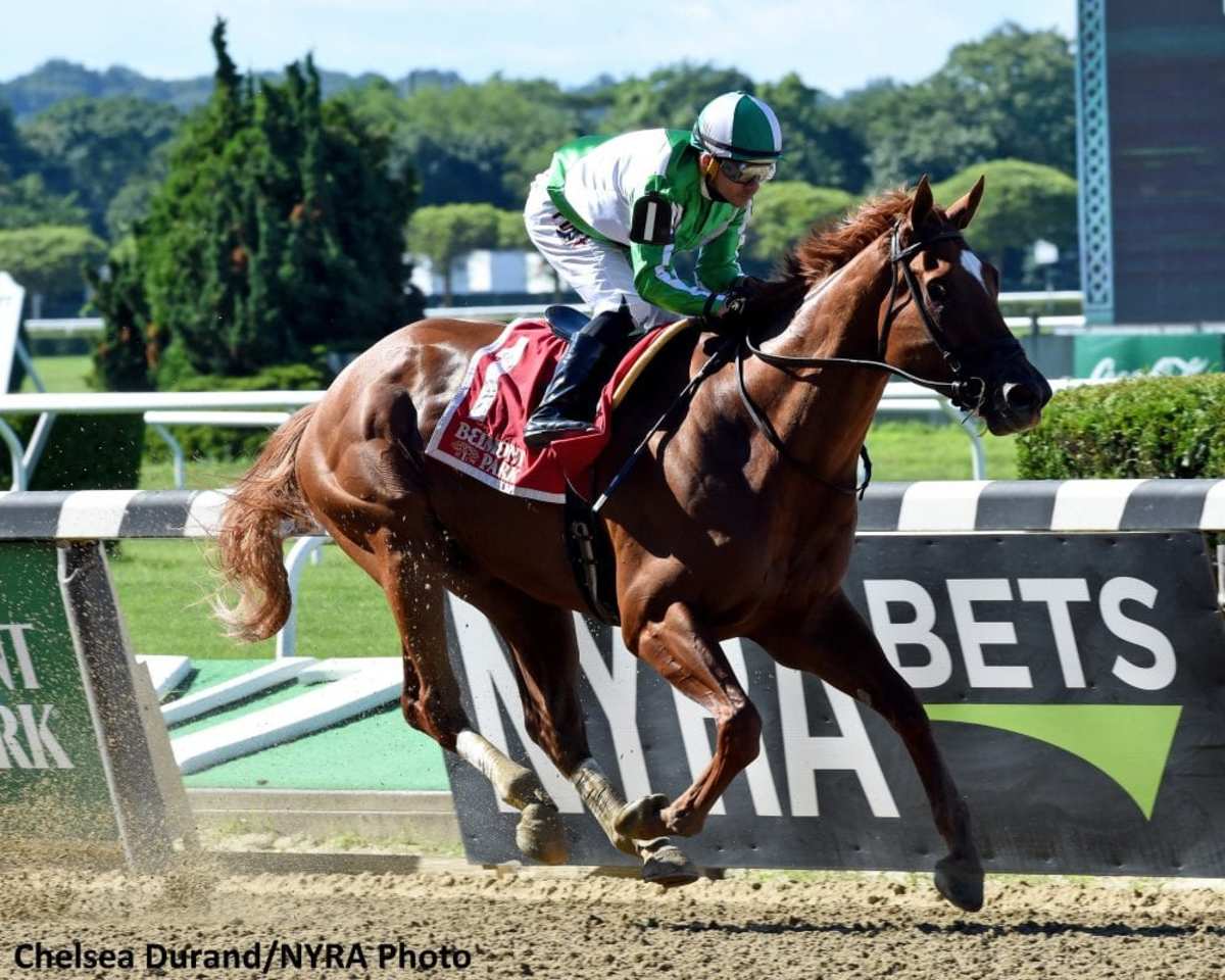 Empire Classic Winner Mr. Buff Had 'Plenty In Reserve,' Will Target G1 ...