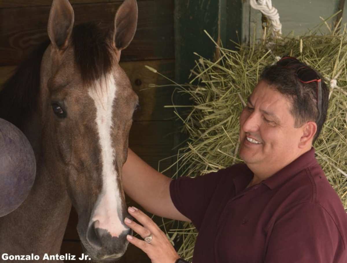 Kirkpatrick & Co. Presents In Their Care: Castellanos Lives 'The ...