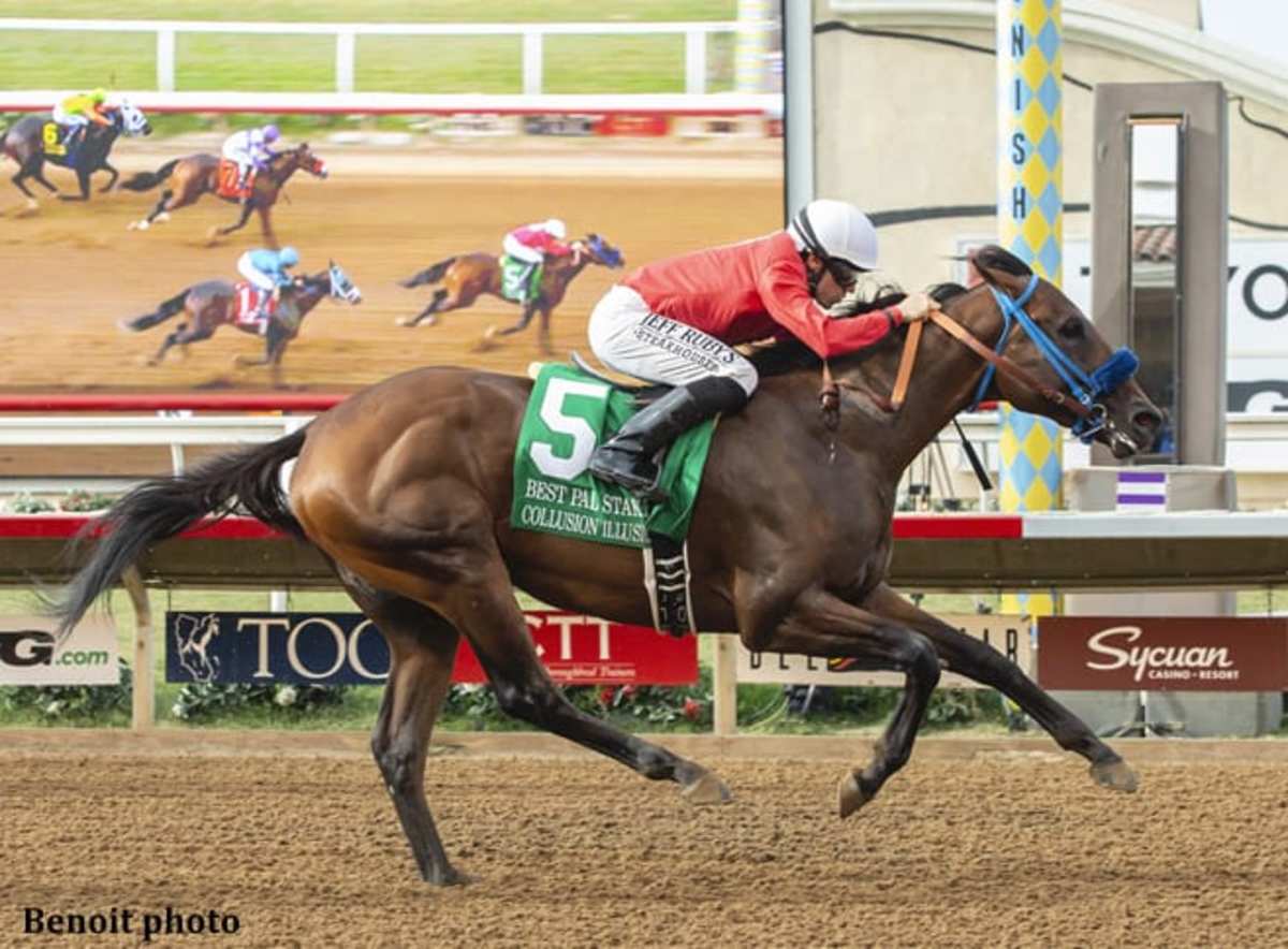 Collusion Illusion Trumps Wrecking Crew In Del Mar's Best Pal - Paulick ...
