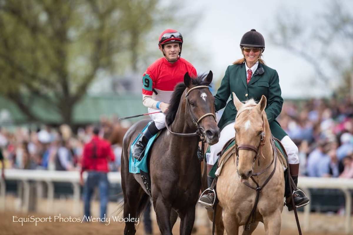 Grade 3 Winner Bourbon Resolution Retired To Peru - Paulick Report ...