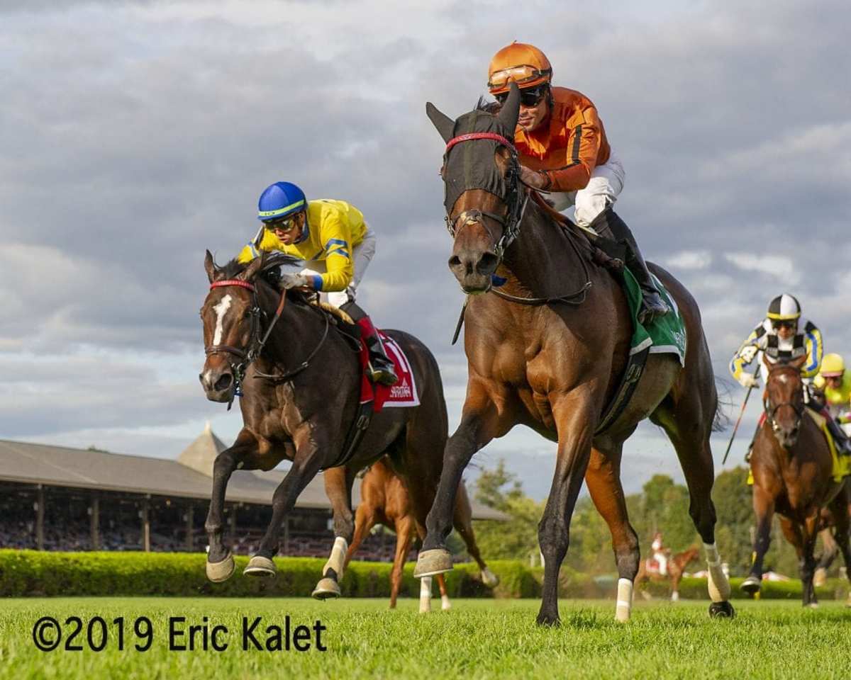 Mrs. Sippy Splits Rivals, Wins U.S. Debut In Glens Falls - Paulick ...