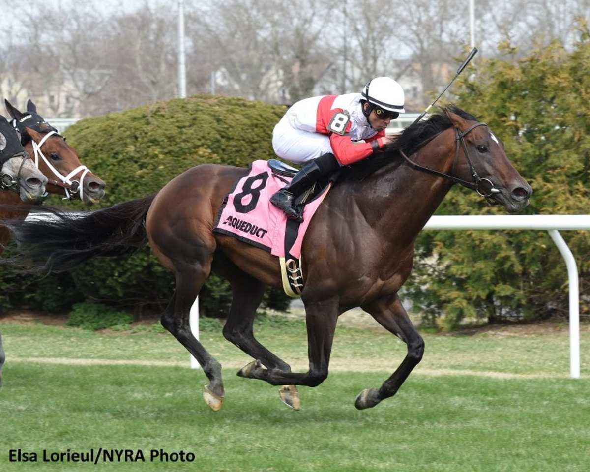 Inspector Lynley Sets Track Record In Danger's Hour Stakes - Paulick ...