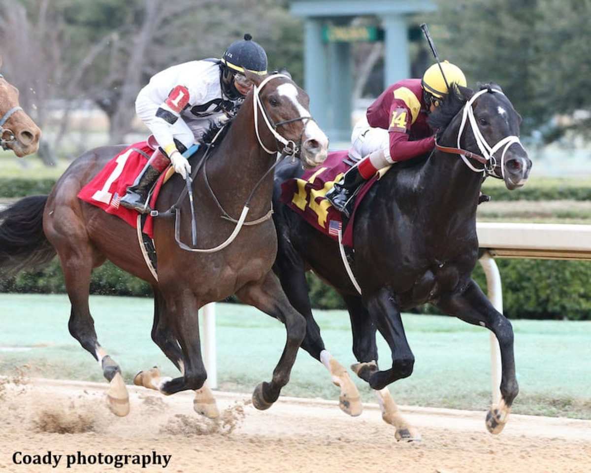 Coal Front Holds Off Copper Bullet in Razorback Handicap - Paulick ...