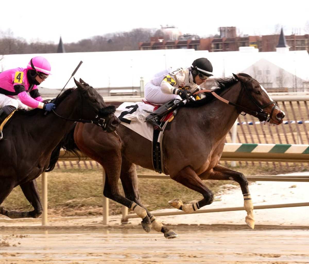 Enchanted Ghost Proves Best In Maryland Racing Media Stakes - Paulick ...