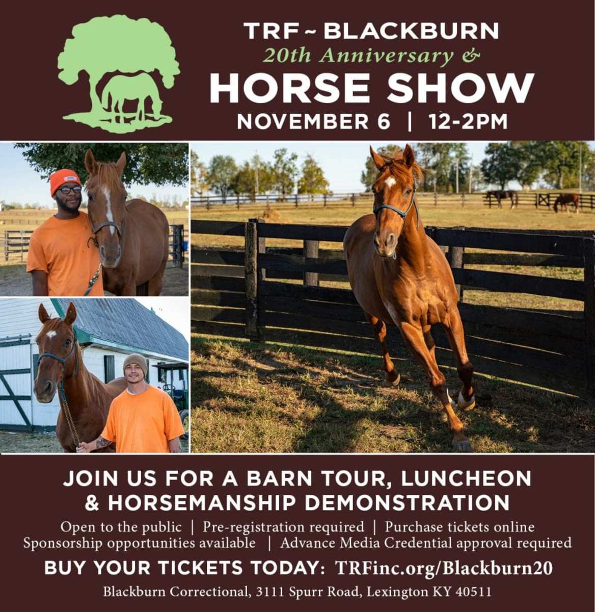 Thoroughbred Retirement Foundation Hosting Nov. 6 Horse Show At ...