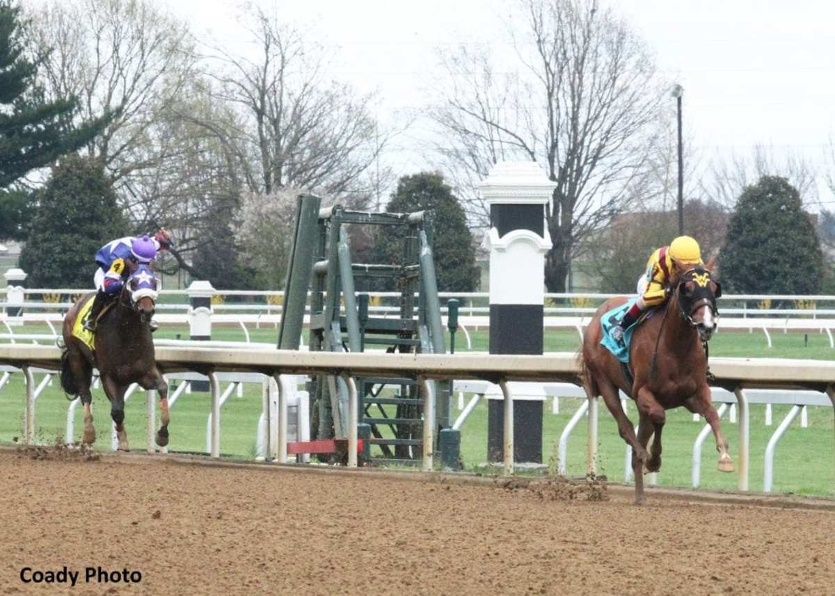 Lady Aurelia's Half-Sister Ruled Out Of Royal Ascot With 'Minor Injury ...