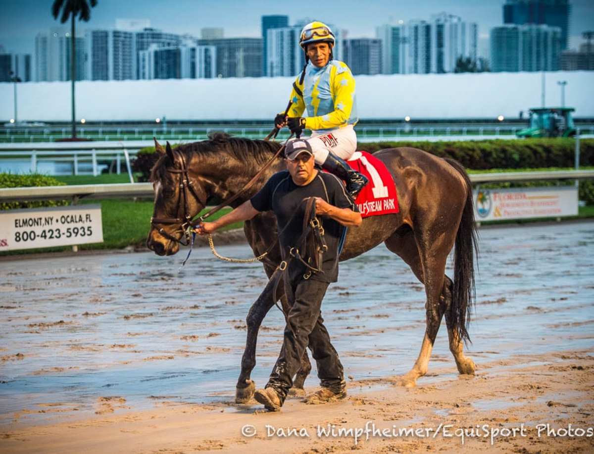 Glorious Empire To Use BWI Turf Cup As 'Building Block' To Next Start ...