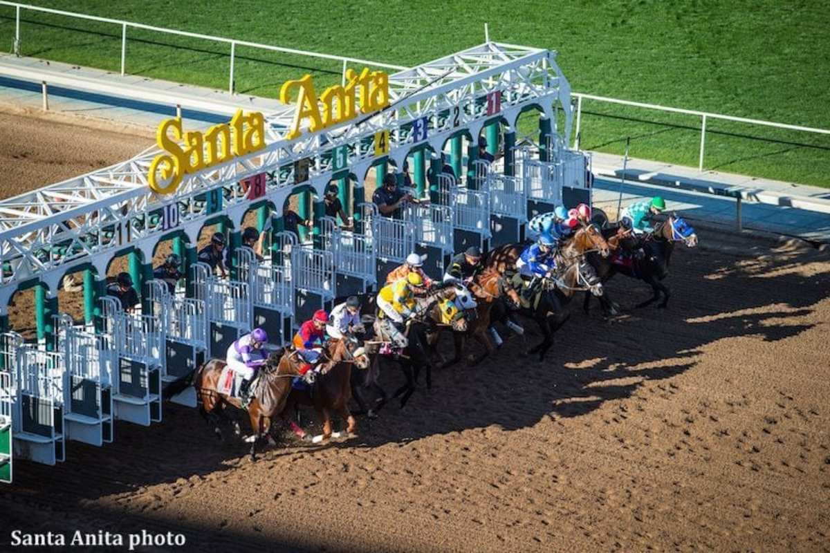 Weekend Lineup Presented By Laurel Park: Weather Breaks For Santa Anita ...