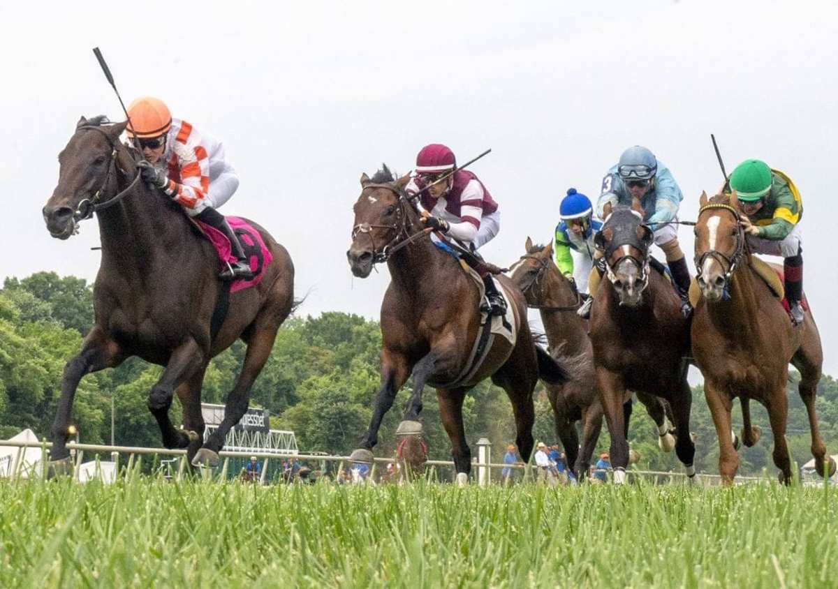 Doctor Mounty Headlines Pimlico's Oldest Stakes Race, The Dinner Party ...